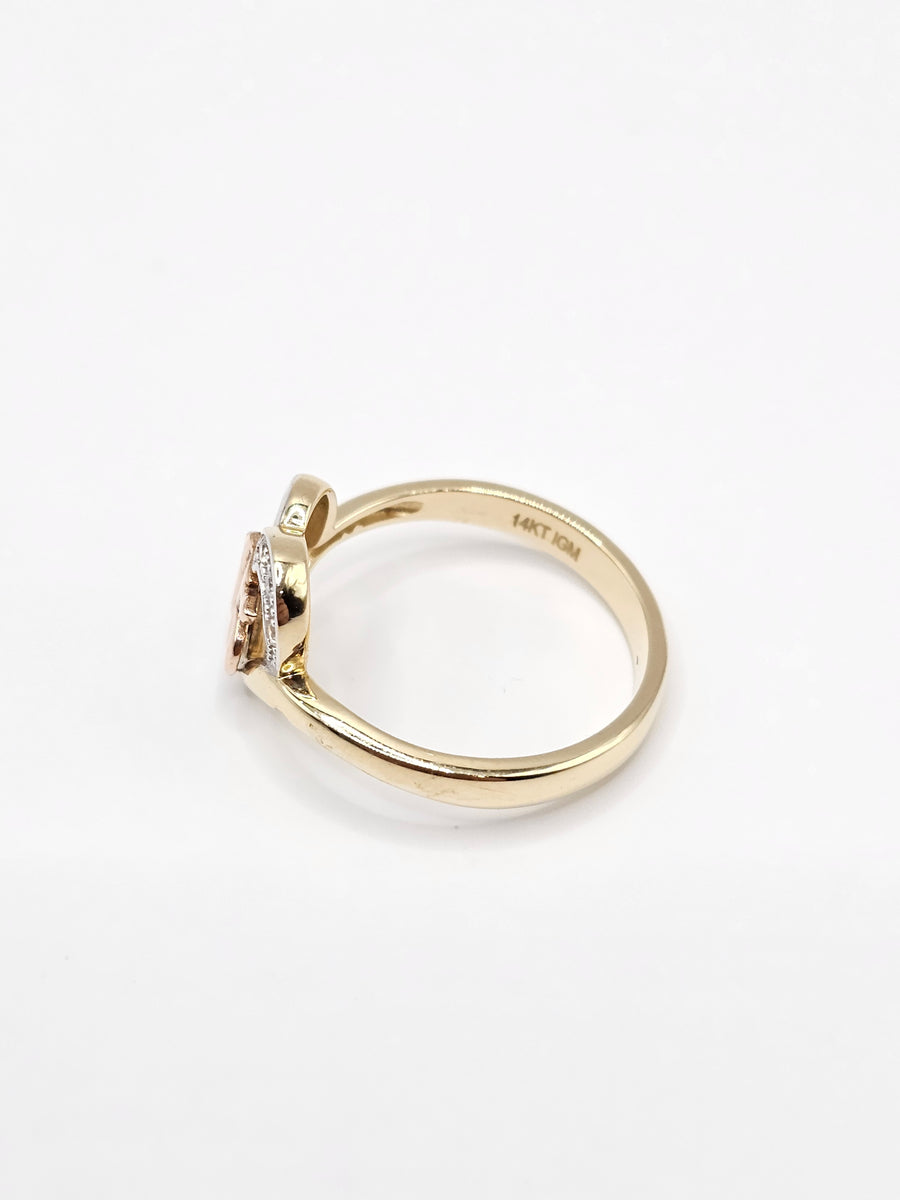 14K Gold Ring - Quince – Jessyjewelryshop